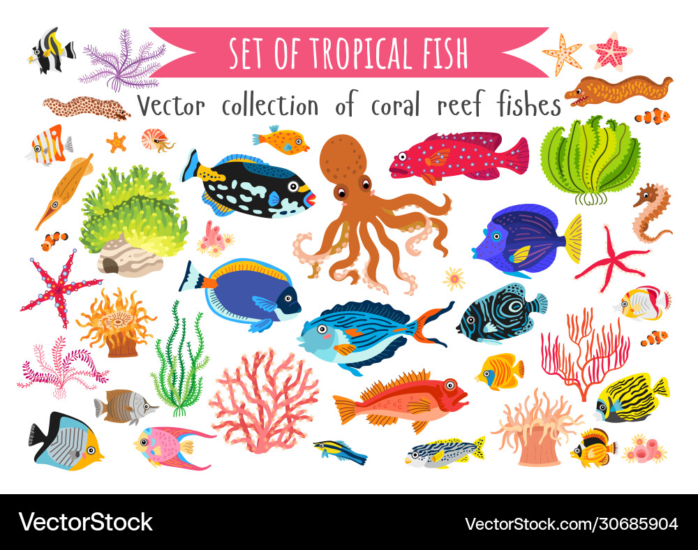 Coral Reef Fish Collection - Flat Style Royalty Free Vector