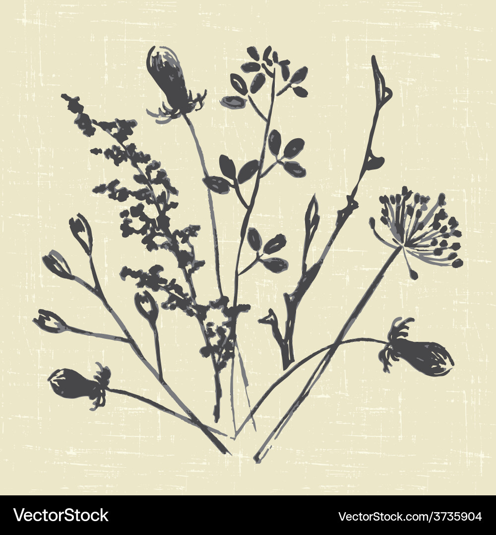 Dry Grass Texture Royalty Free Vector Image - VectorStock