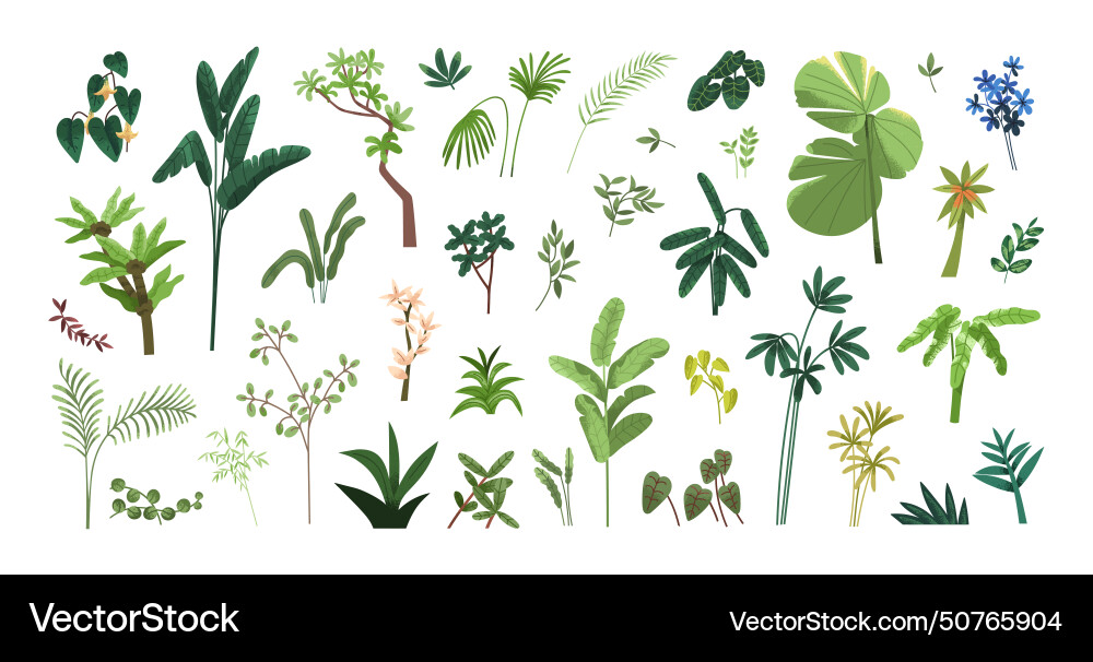 Leaf plants exotic tropical green leaves Vector Image