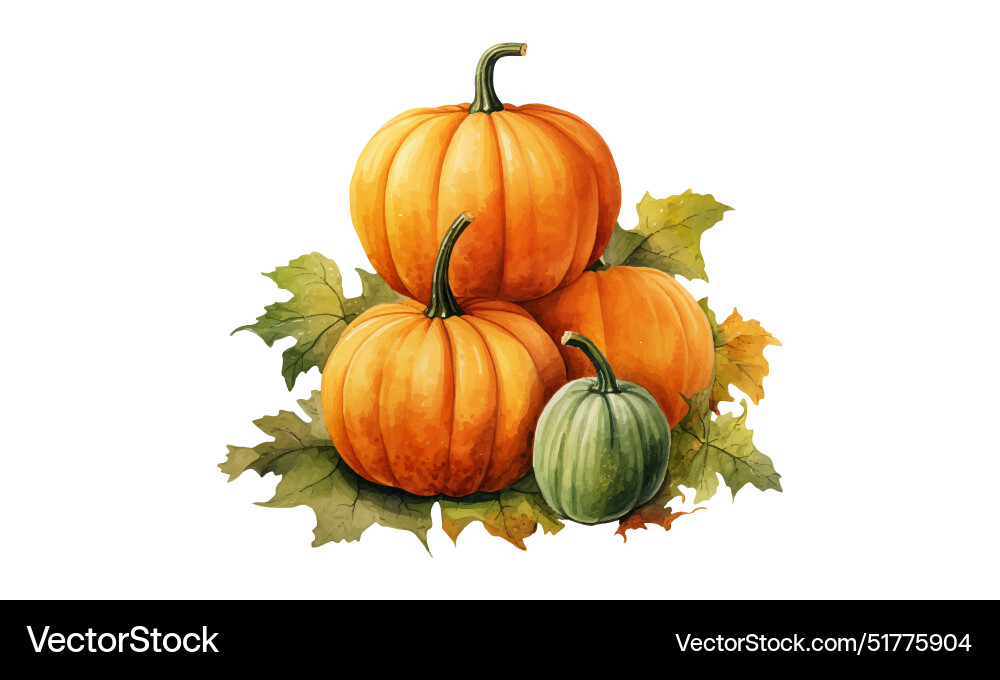 Pumpkins isolated design Royalty Free Vector Image