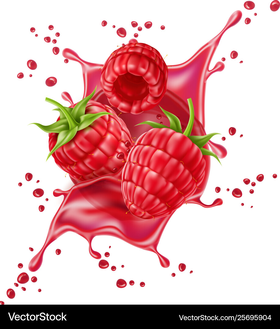 Realistic raspberry splash flow with berry Vector Image