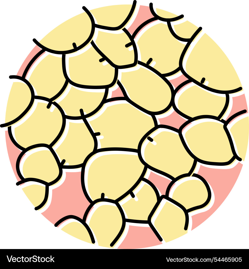 Adipose tissue obesity overweight color icon Vector Image