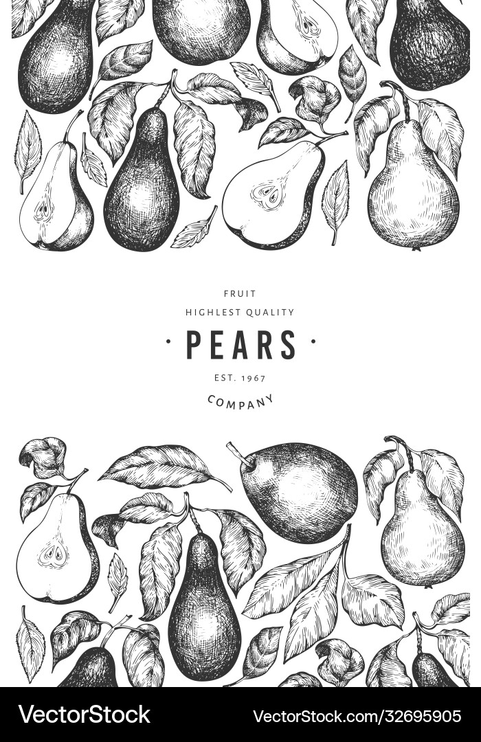Pear design template hand drawn garden fruit Vector Image