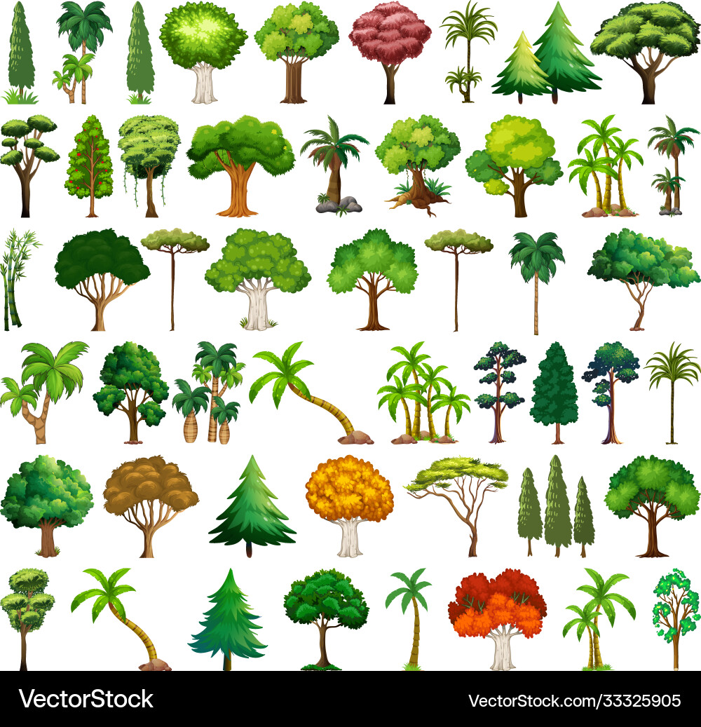 Set variety plants and trees Royalty Free Vector Image