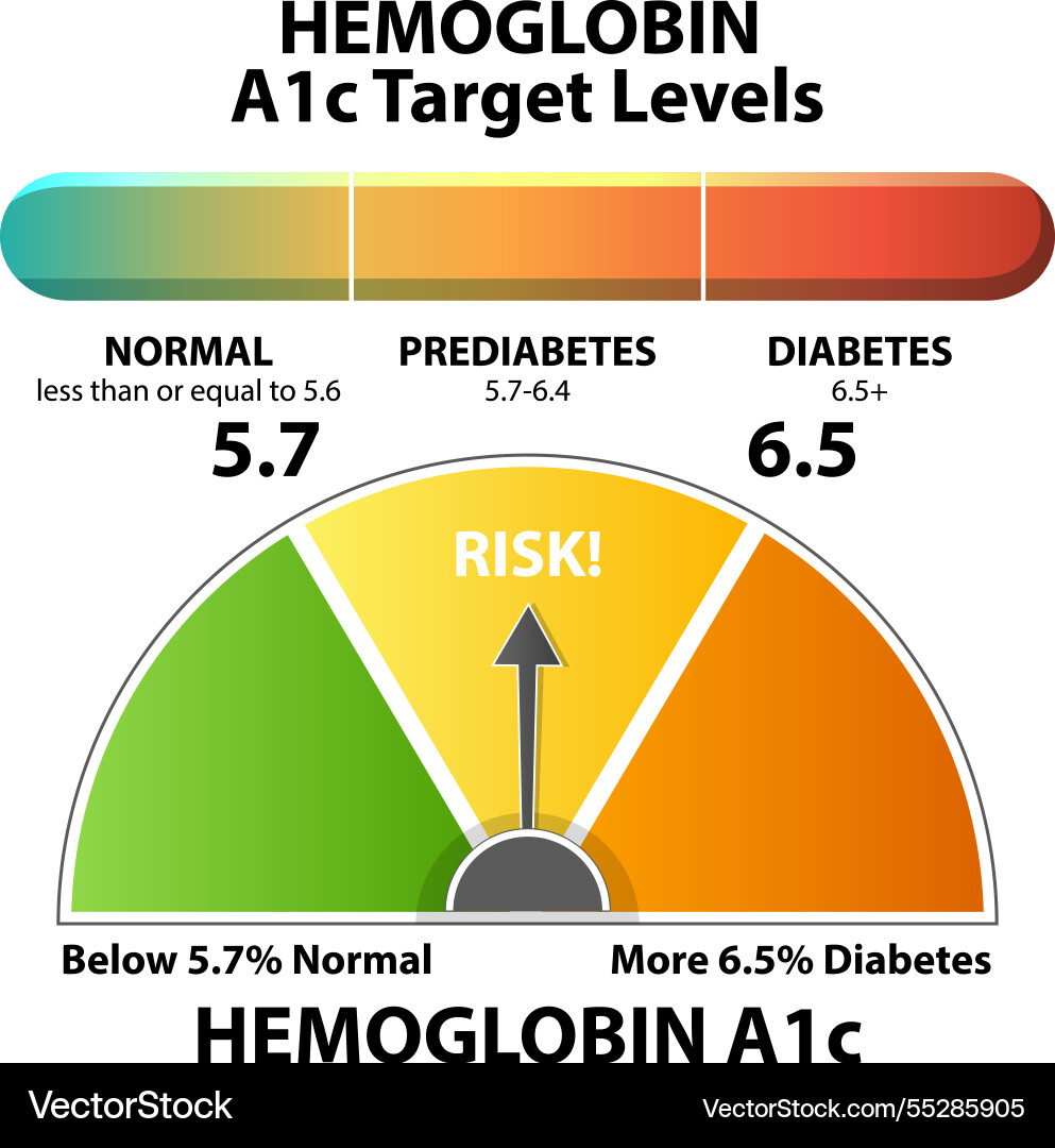 Visual guide to normal prediabetes and diabetes Vector Image