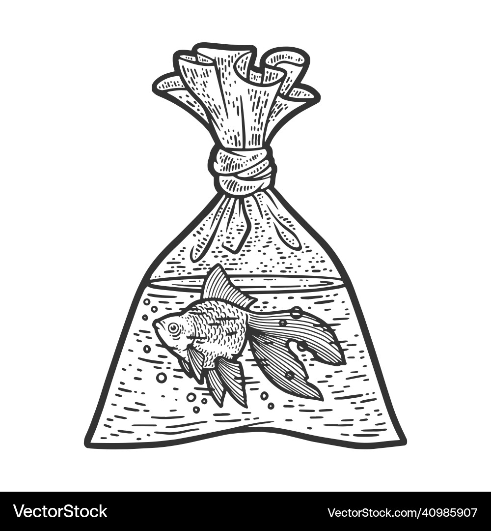 Fish in plastic bag sketch Royalty Free Vector Image