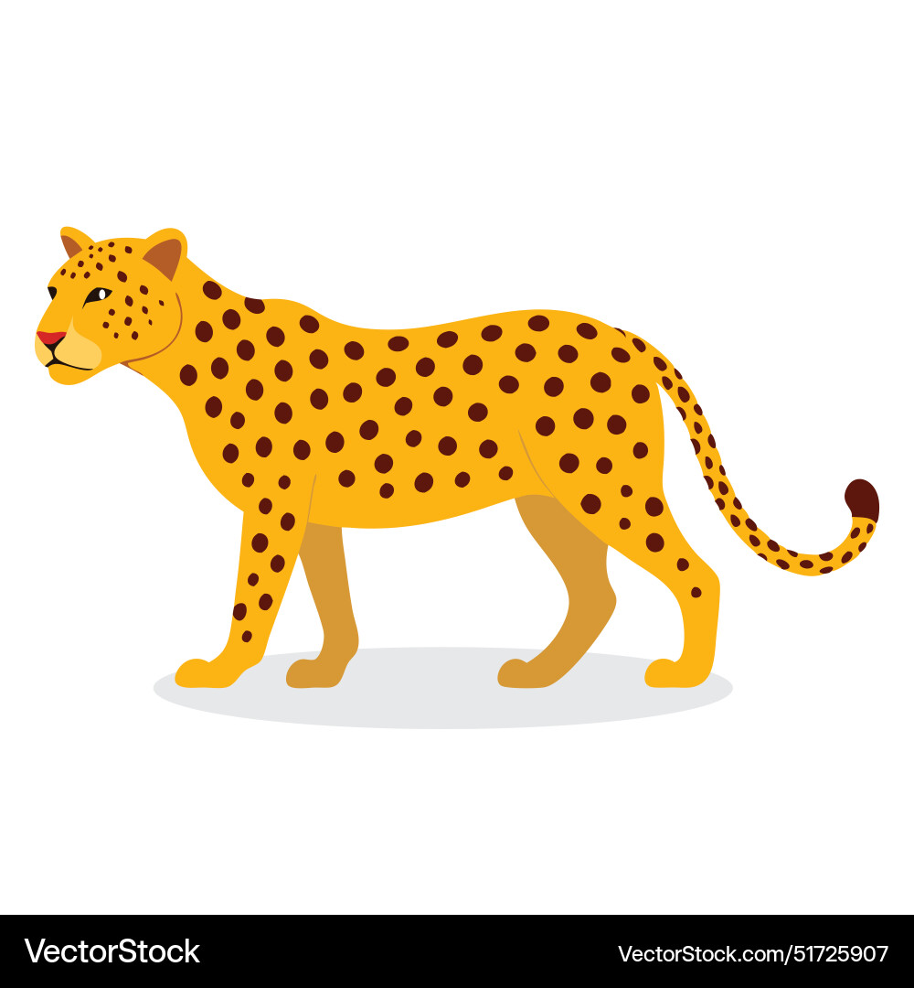 Leopard animal isolated flat on white background Vector Image