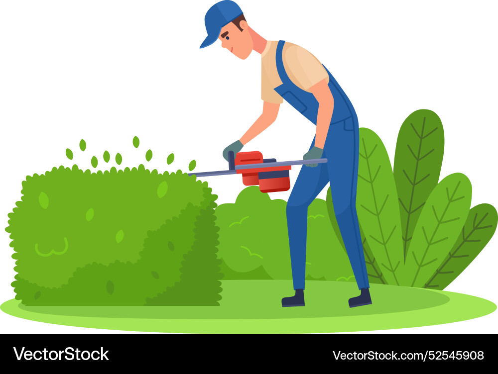 Green hedge pruning garden worker trim bush Vector Image