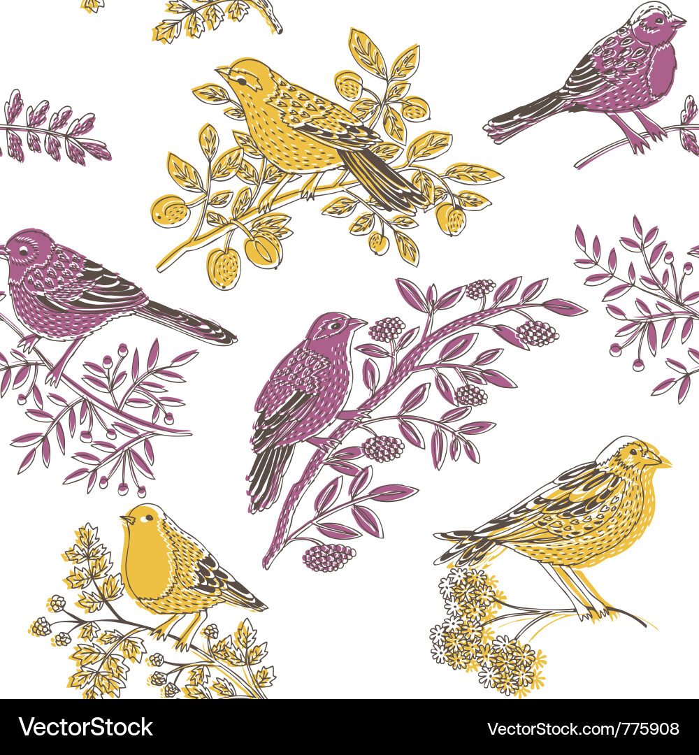 Nature birds Royalty Free Vector Image - VectorStock