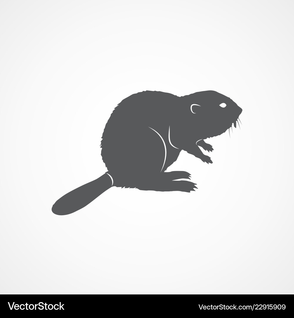 Beaver Eating Vector Images (over 220)
