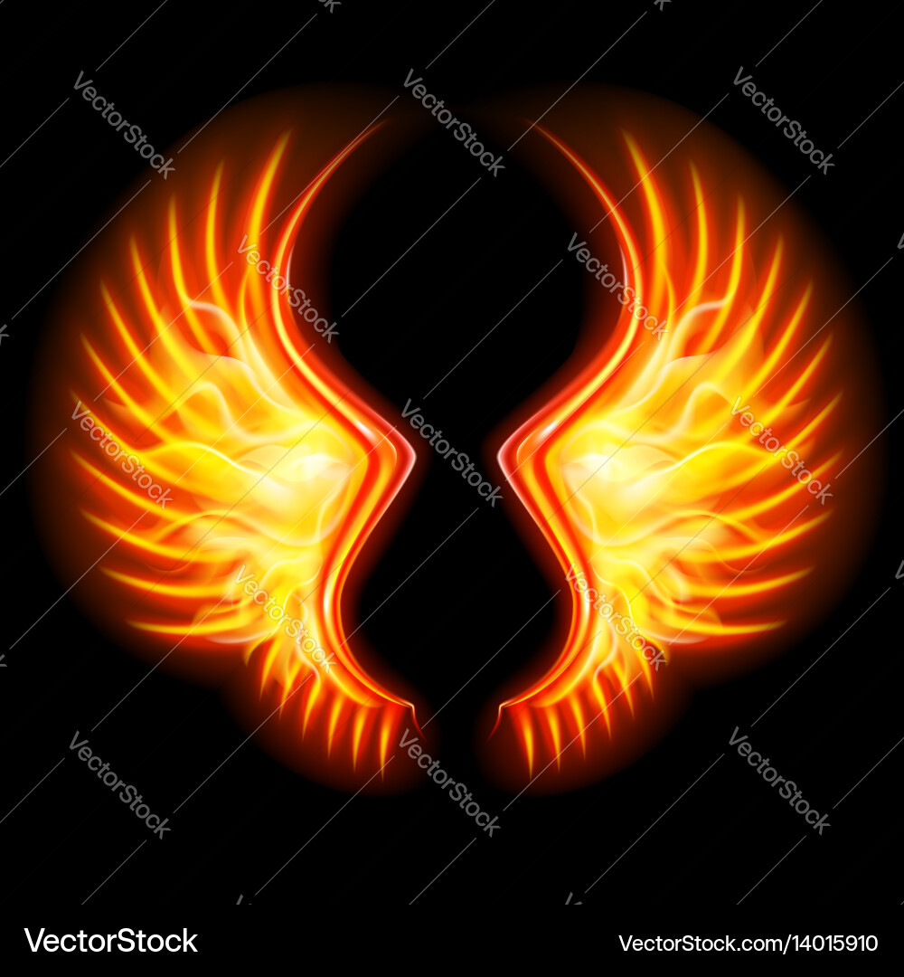 Fire wings Royalty Free Vector Image - VectorStock