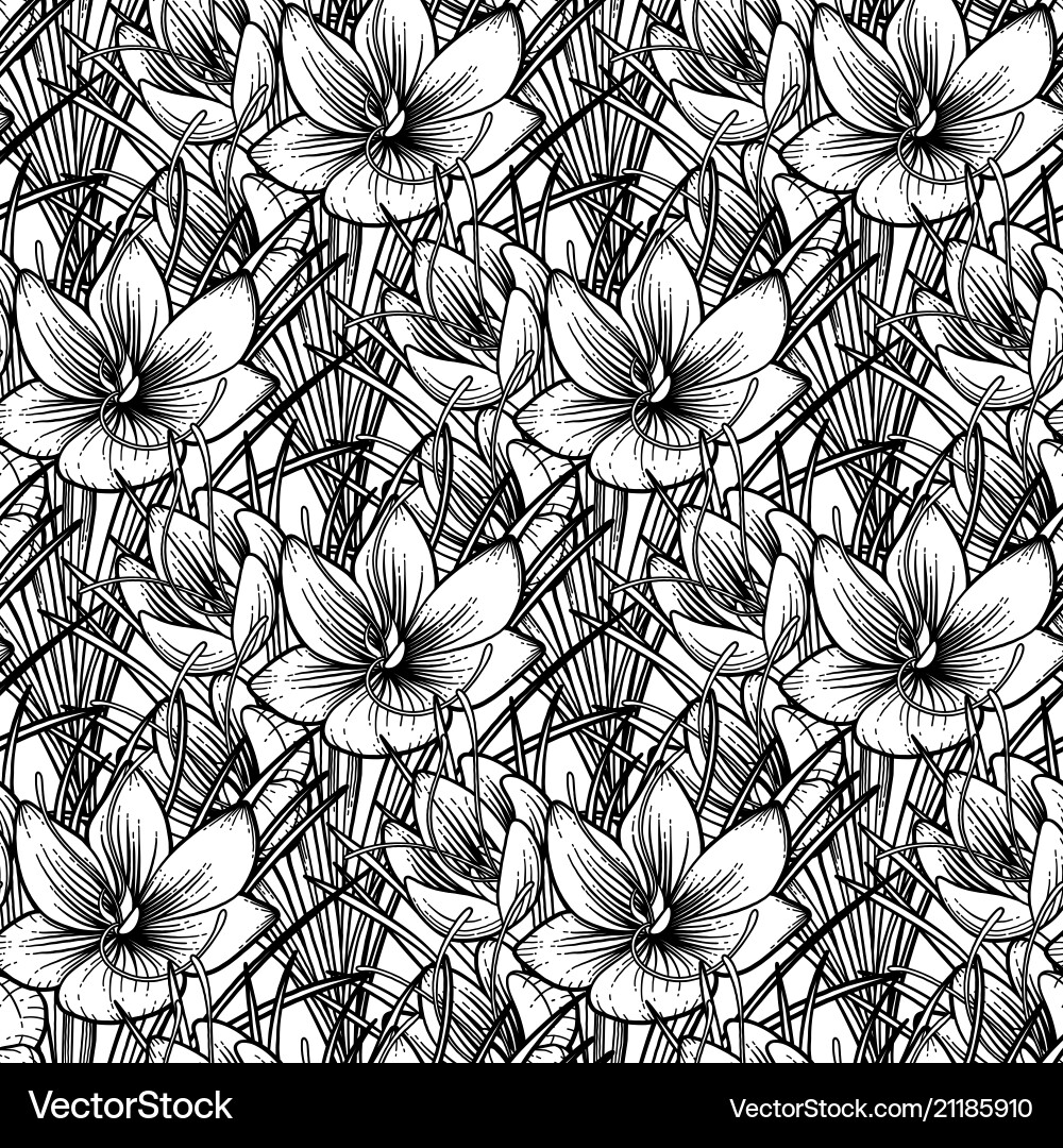 Graphic saffron pattern Royalty Free Vector Image