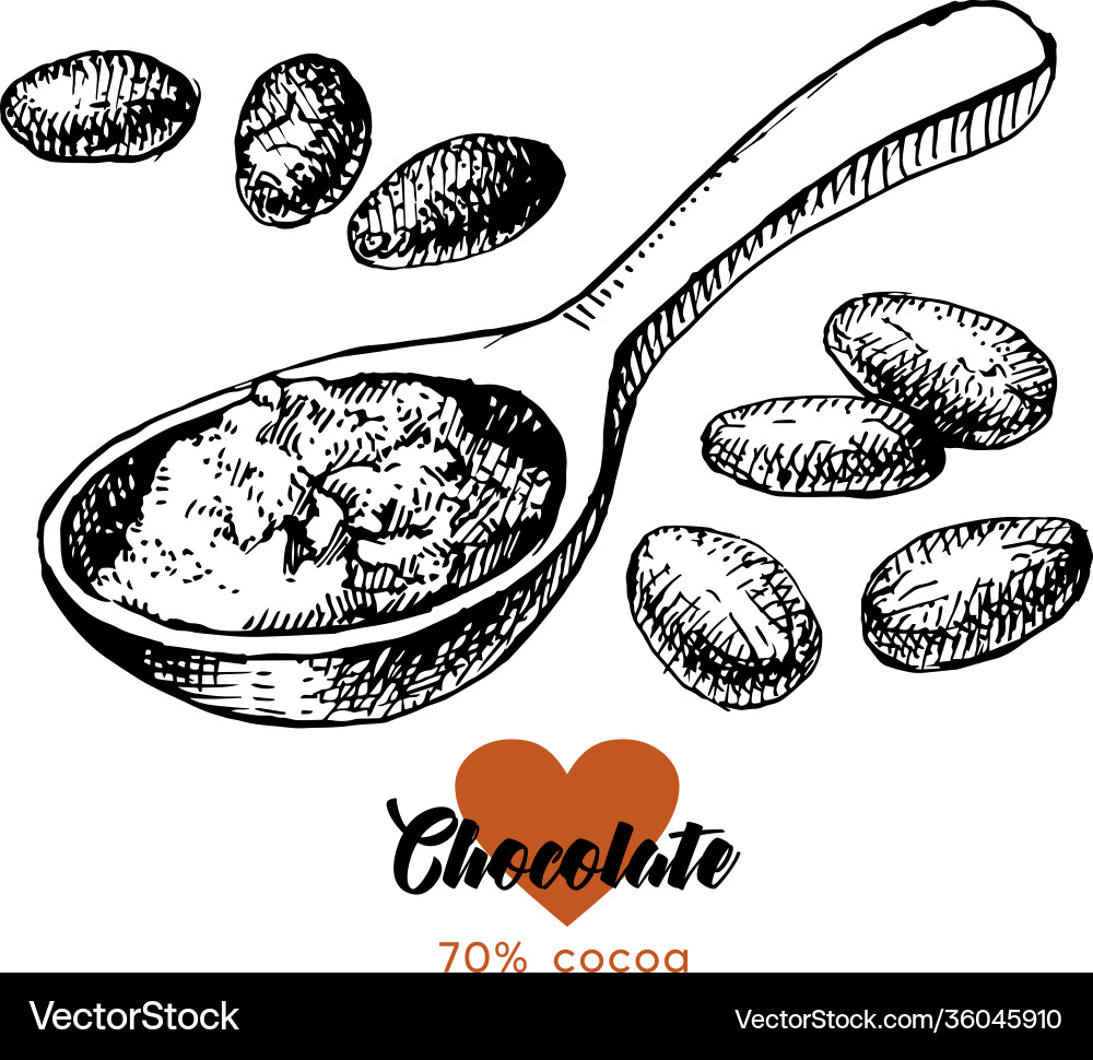 Hand drawn sketch cocoa chocolate product set Vector Image