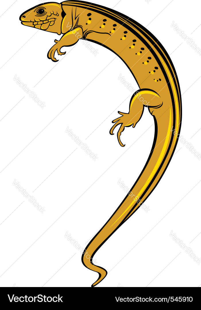 Lizard Royalty Free Vector Image - VectorStock