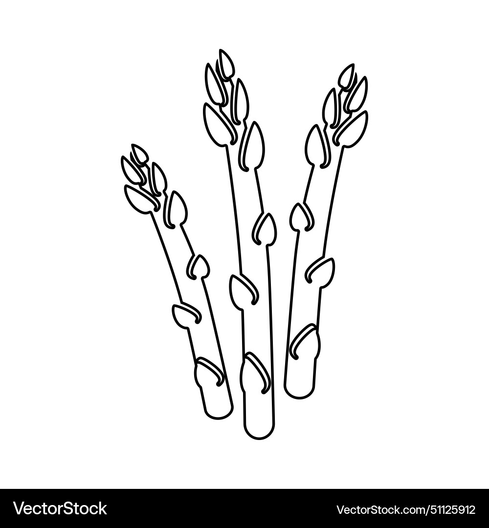 Asparagus icon a black outline Royalty Free Vector Image