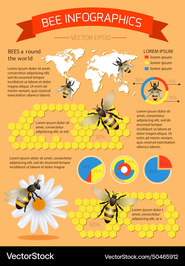 Bee infographics set Royalty Free Vector Image