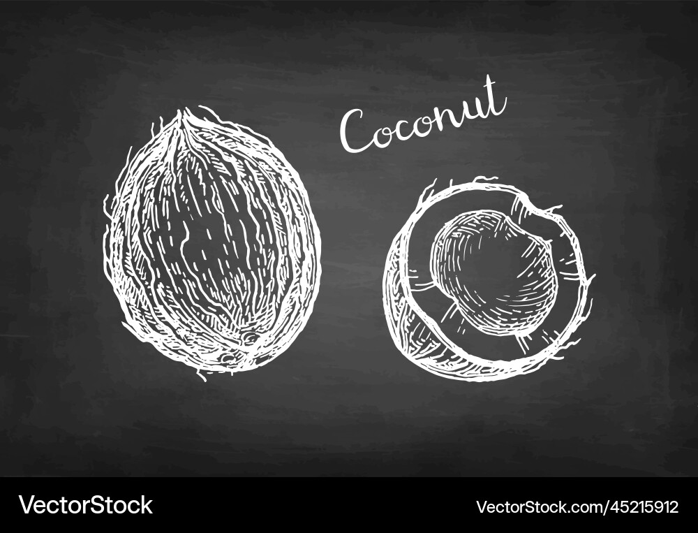Chalk sketch of coconuts Royalty Free Vector Image