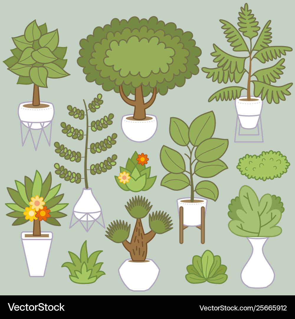 Plants Royalty Free Vector Image - VectorStock