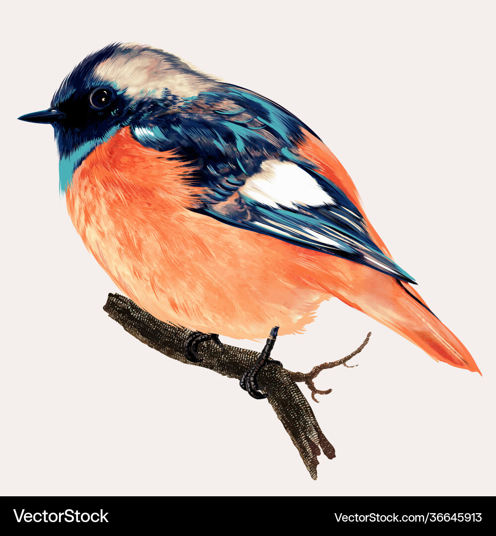Beautiful high detailed bird Royalty Free Vector Image