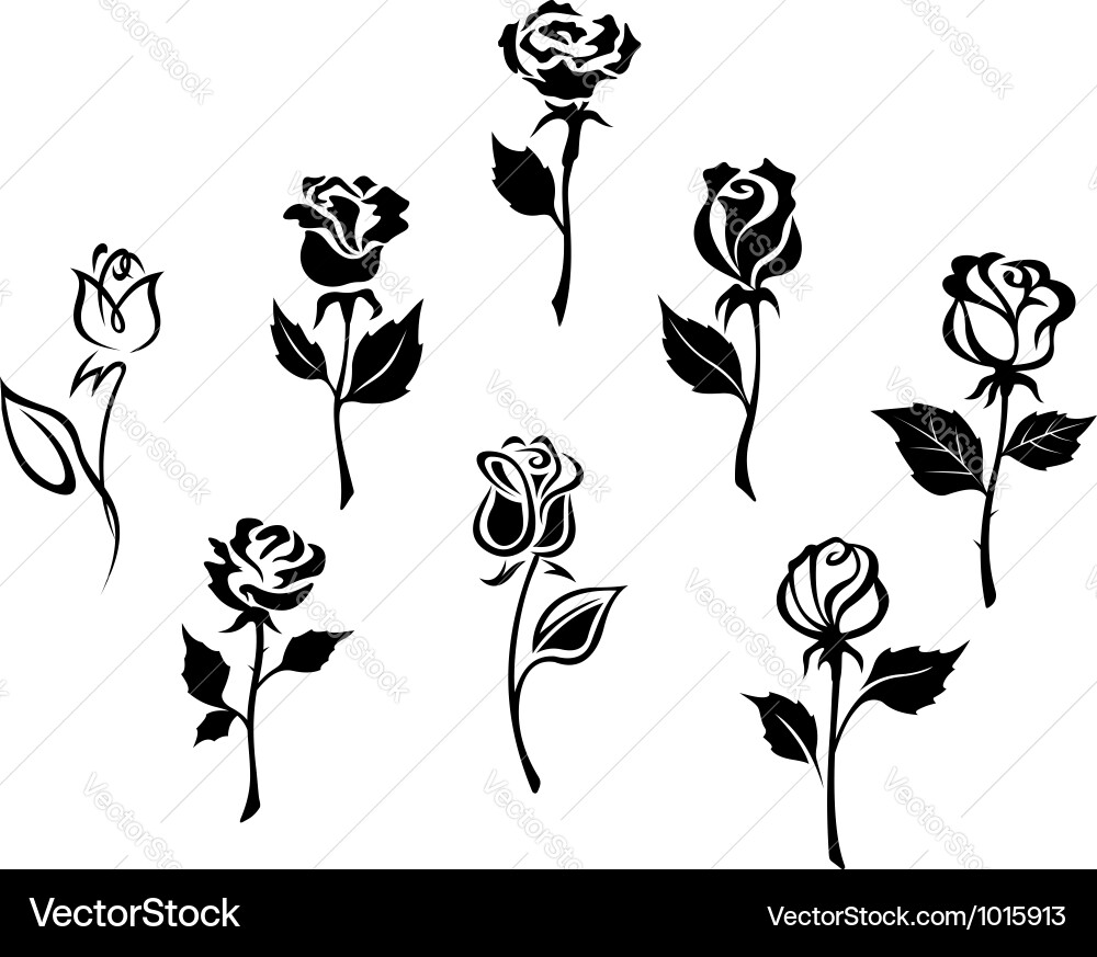 Schöne Rosen Silhouetten Lizenzfreies Vektorbild