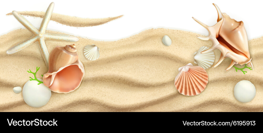 Seashells on sand background Royalty Free Vector Image