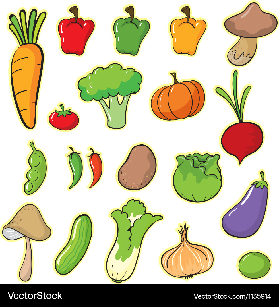 Vegetables Royalty Free Vector Image - VectorStock
