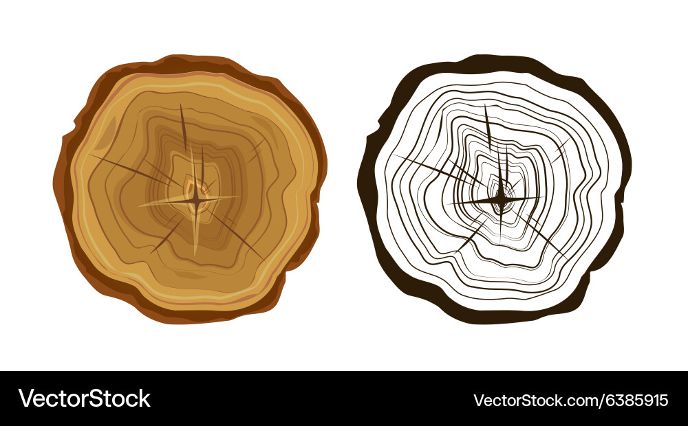 Tree Rings & Wood Sections Royalty Free Vector Image