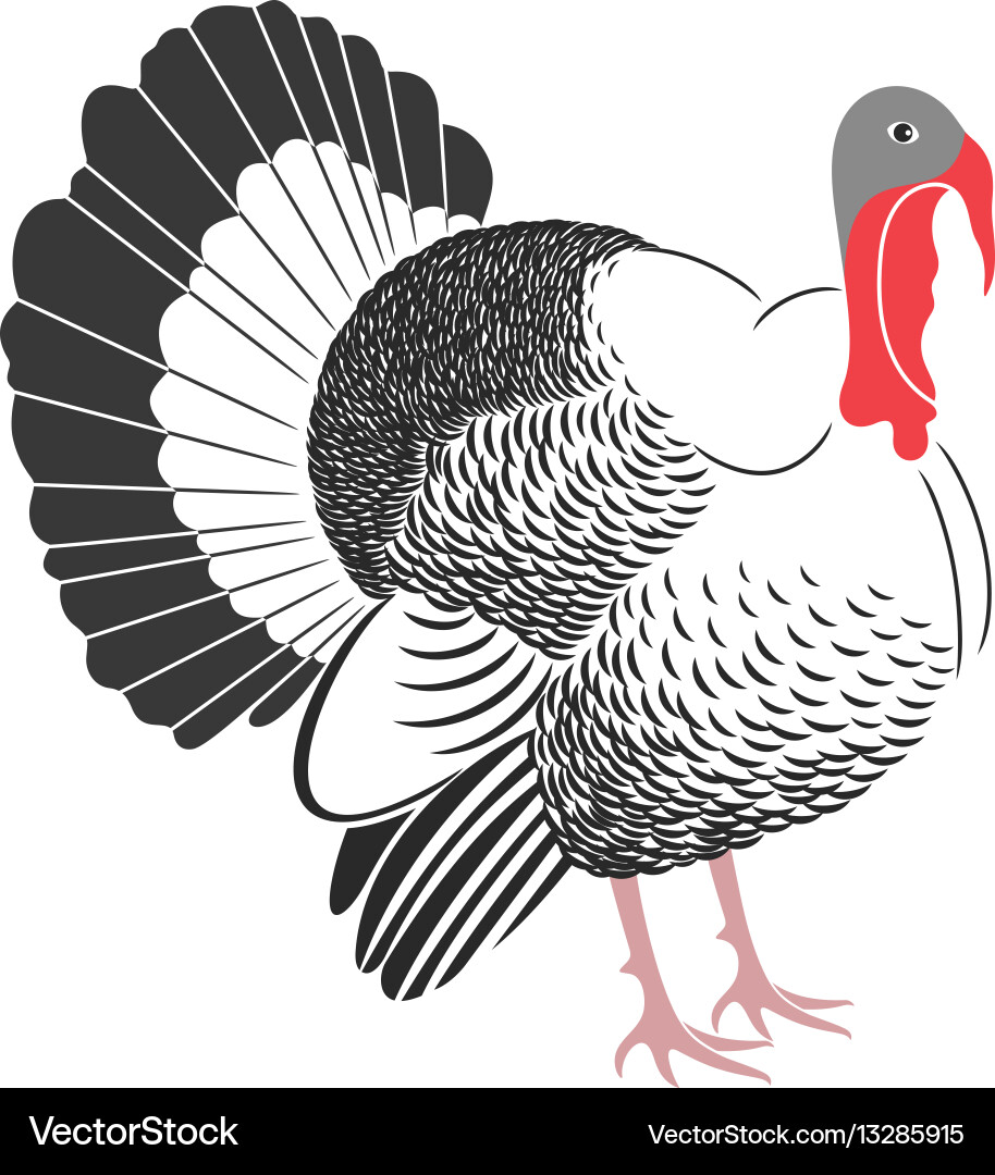 Turkey Royalty Free Vector Image - VectorStock