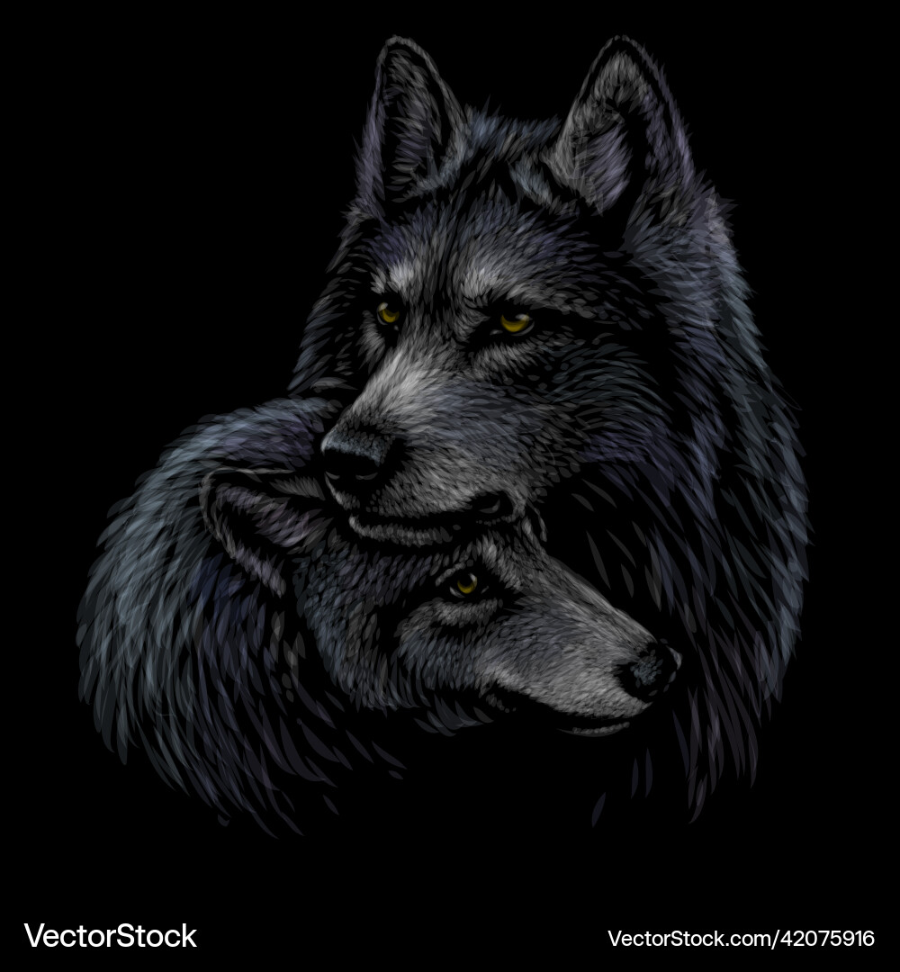 Two Wolves Black And White