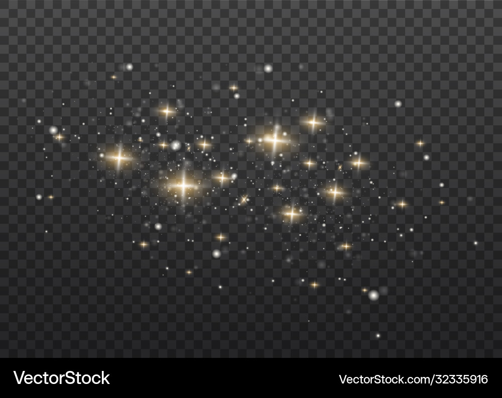Sparkling dust particles Royalty Free Vector Image