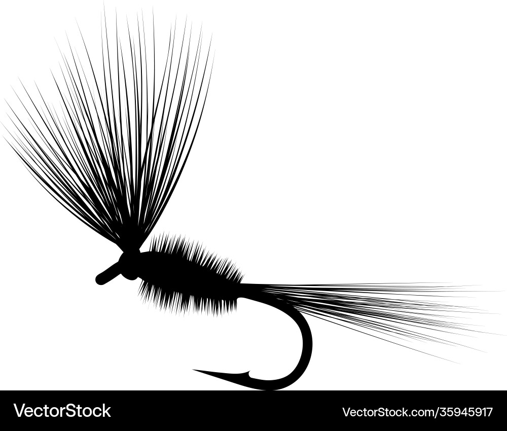 Dry fly Royalty Free Vector Image - VectorStock