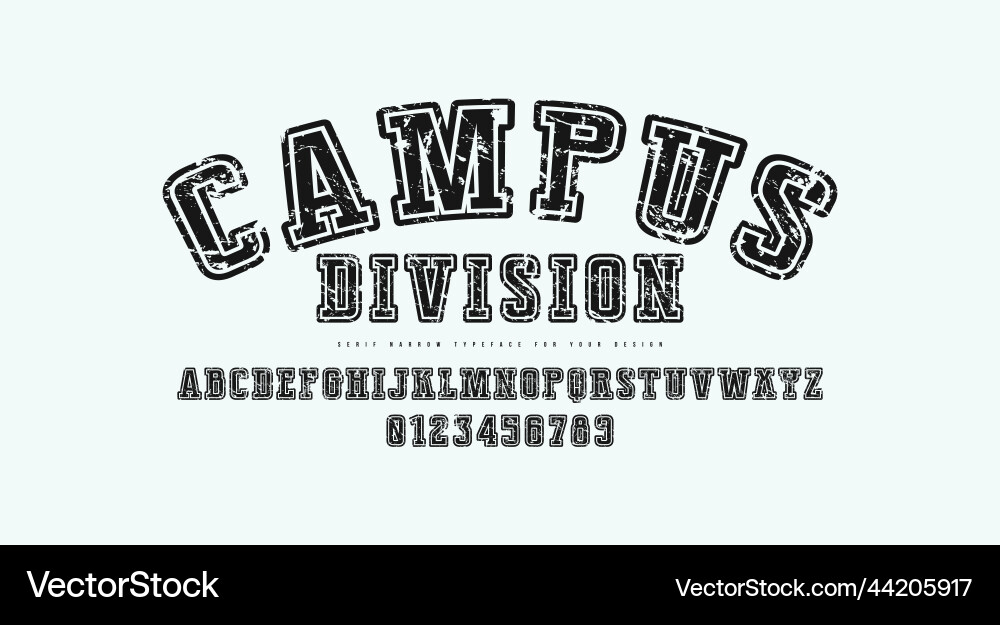Narrow serif font with contour Royalty Free Vector Image