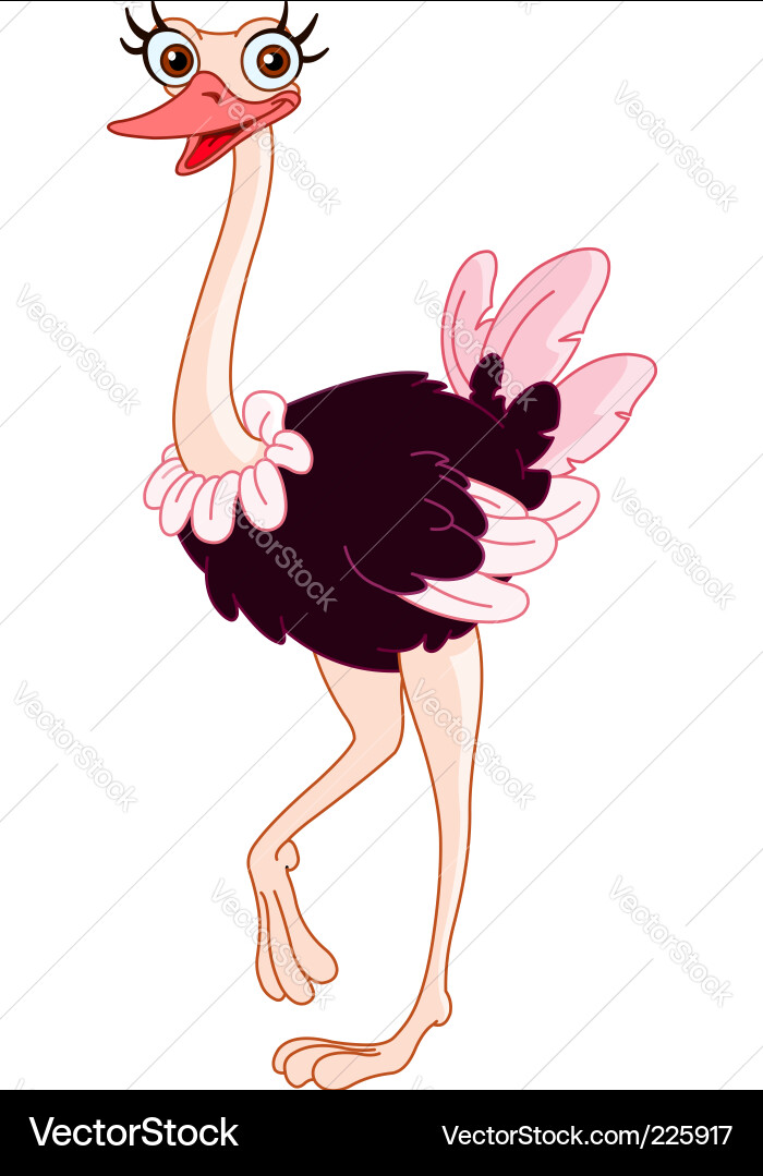 Ostrich Royalty Free Vector Image - VectorStock