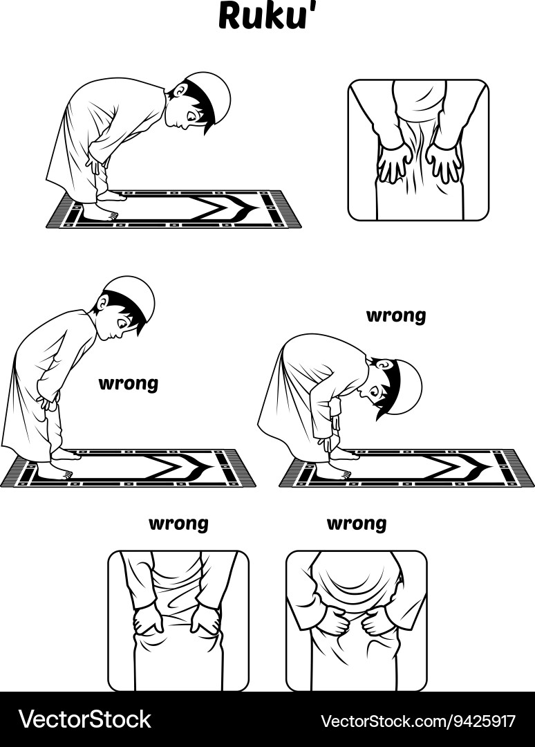 Ruku Position Guide for Prayer Royalty Free Vector Image