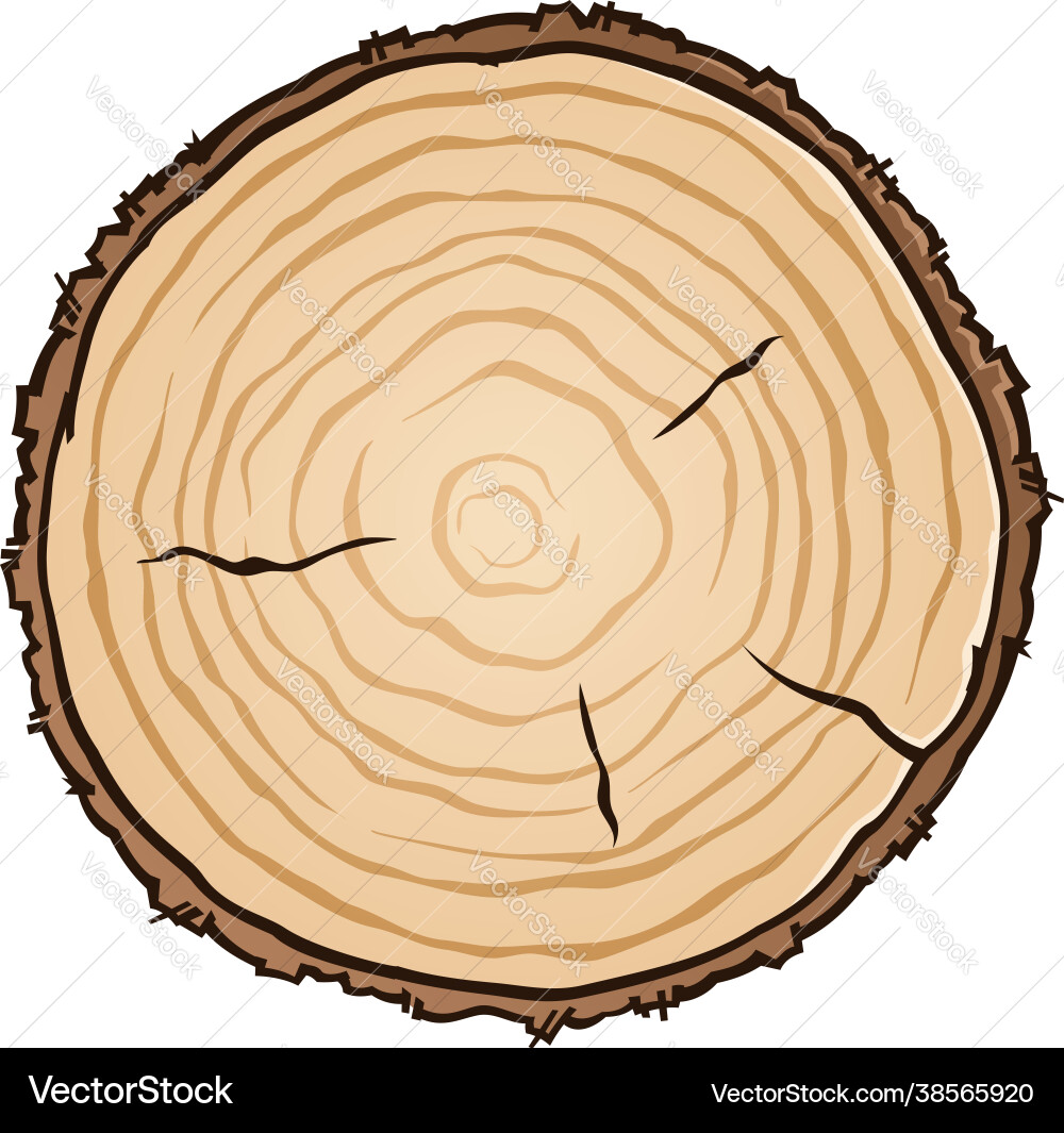 A slice wooden log in circle Royalty Free Vector Image