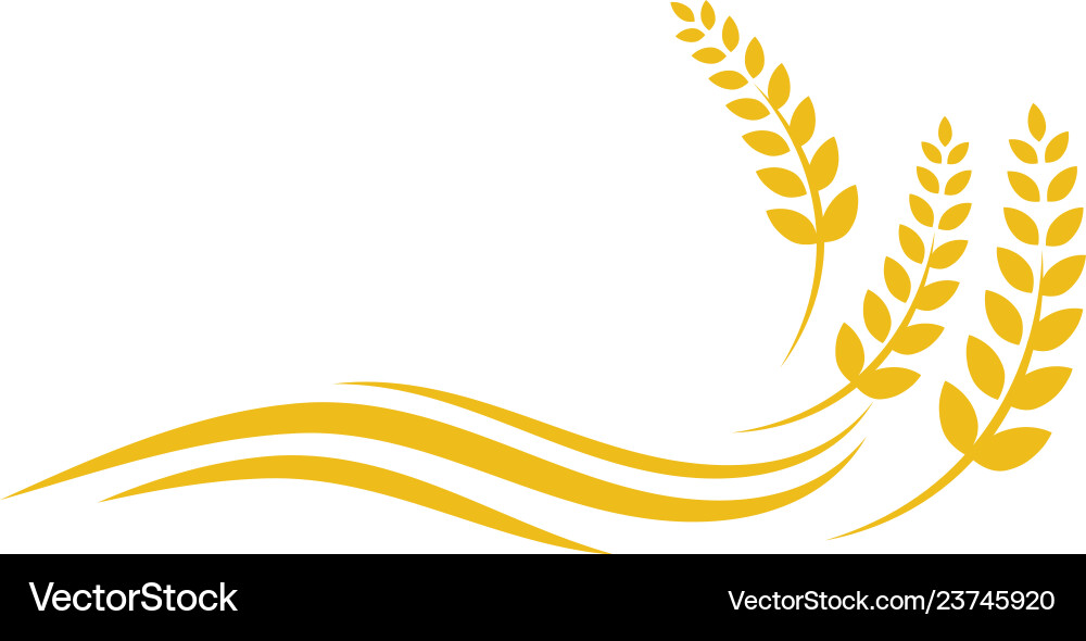 Agriculture wheat Royalty Free Vector Image - VectorStock