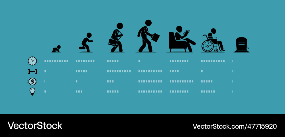 Different stages of a human growing from young Vector Image