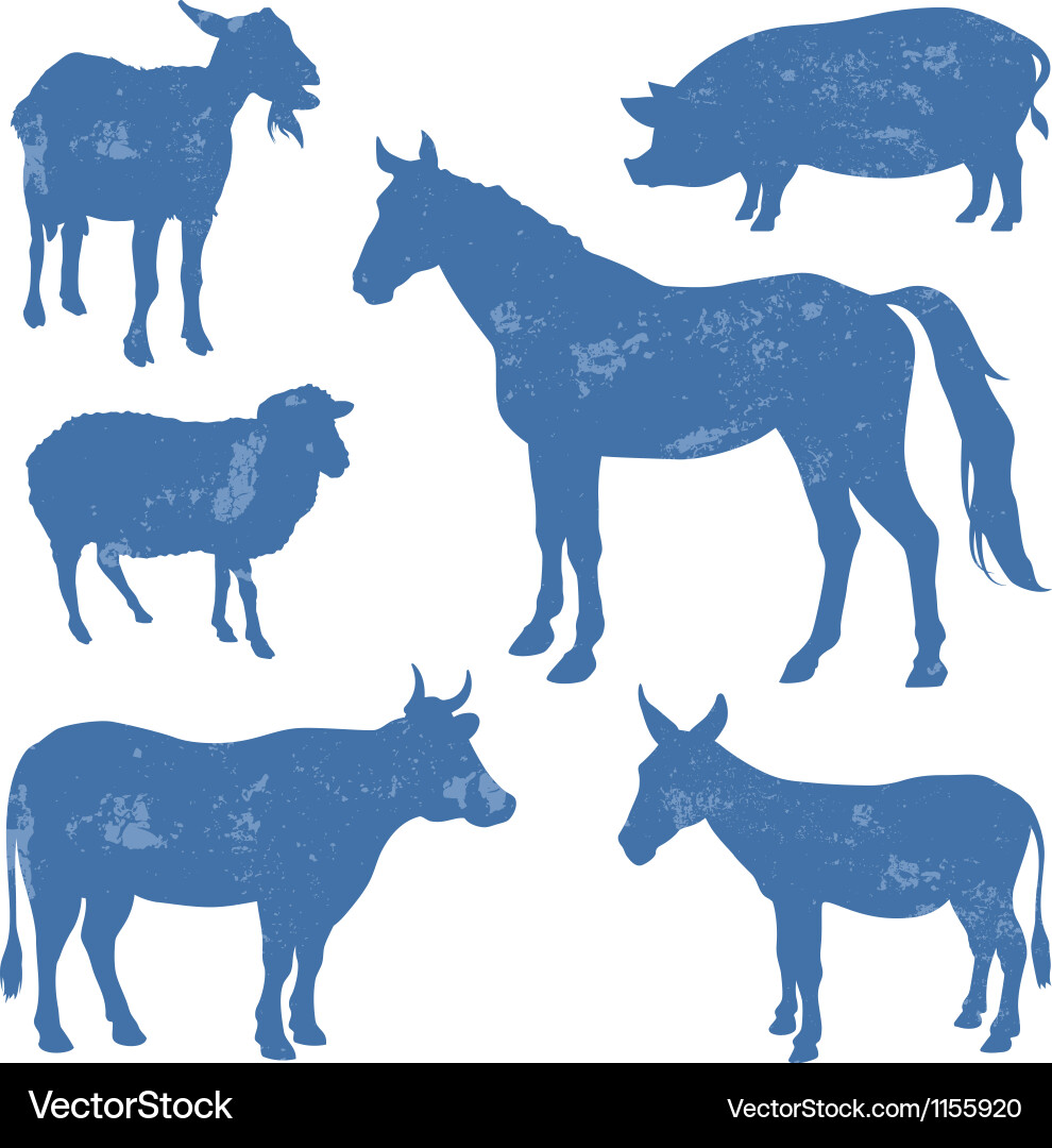 Livestock Royalty Free Vector Image - VectorStock