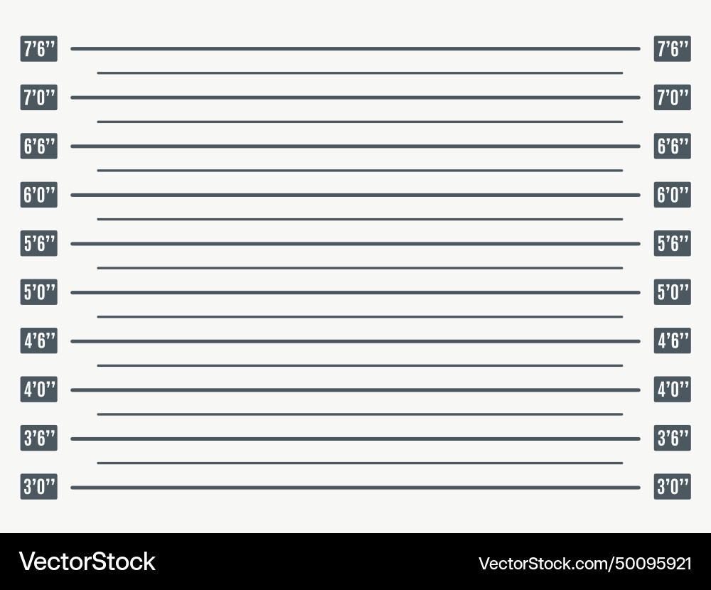 Mugshot lineup prison photo booking backdrop Vector Image