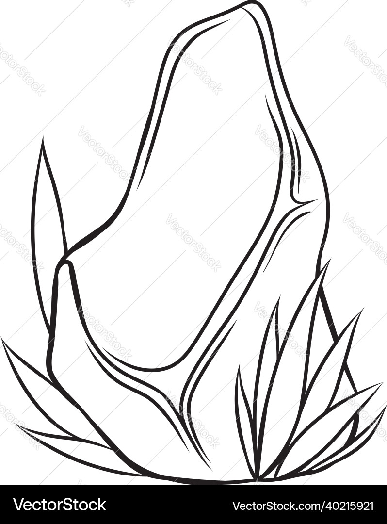Outline stone with plant Royalty Free Vector Image