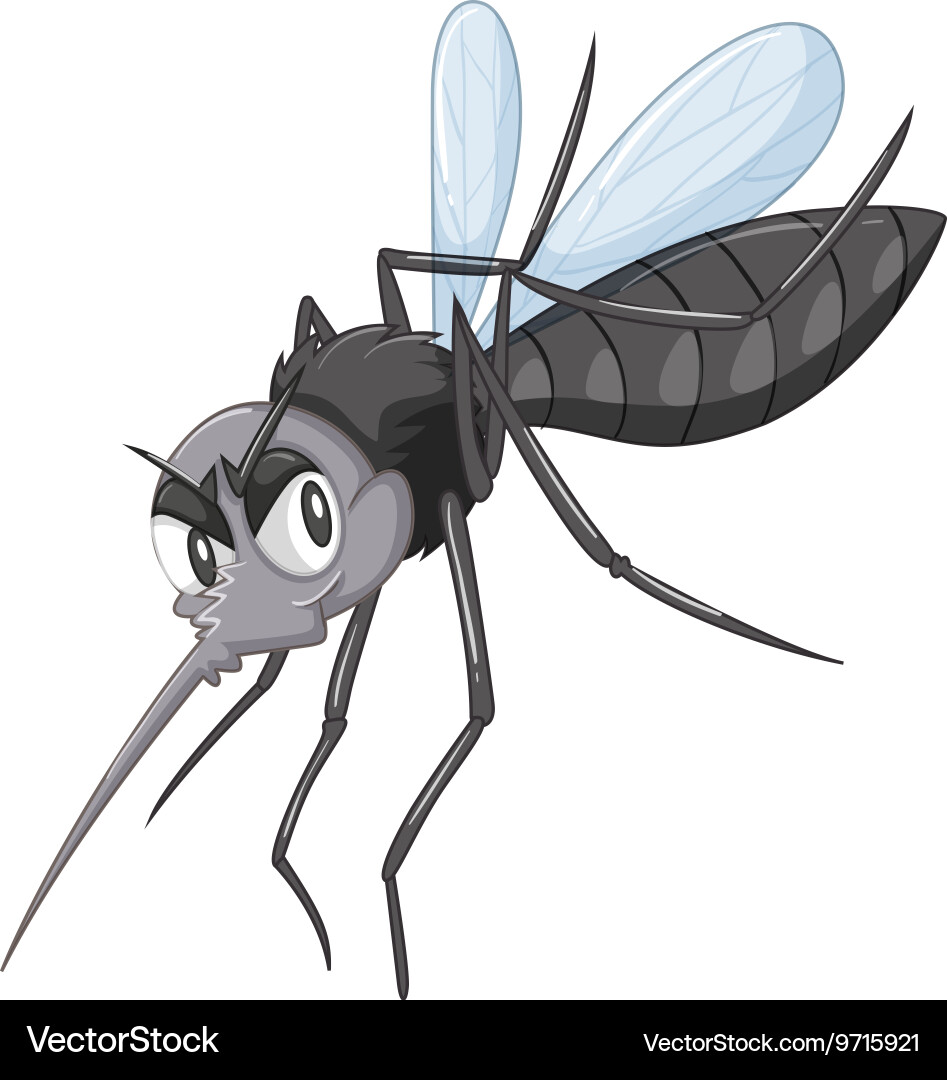 Wild mosquito in black color Royalty Free Vector Image