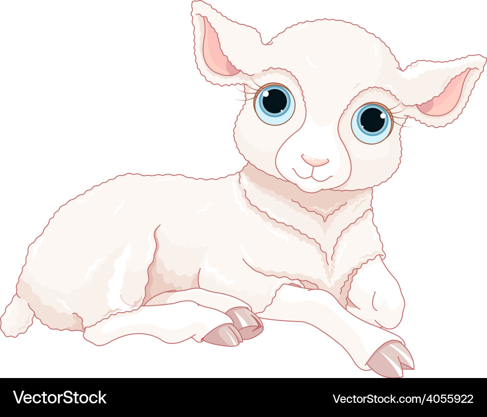 Baby sheep Royalty Free Vector Image - VectorStock