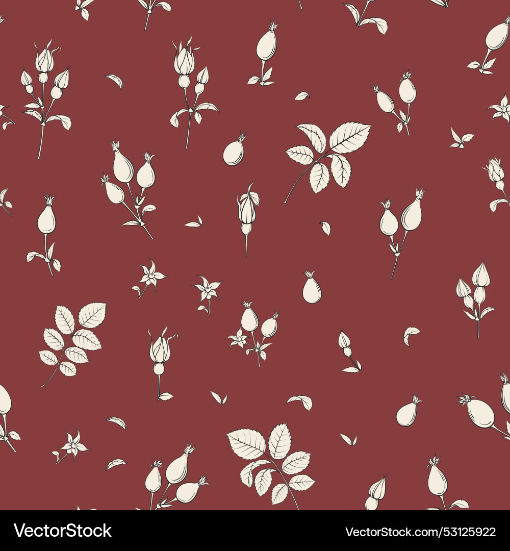 Bicolor rose floral pattern modern botanical Vector Image