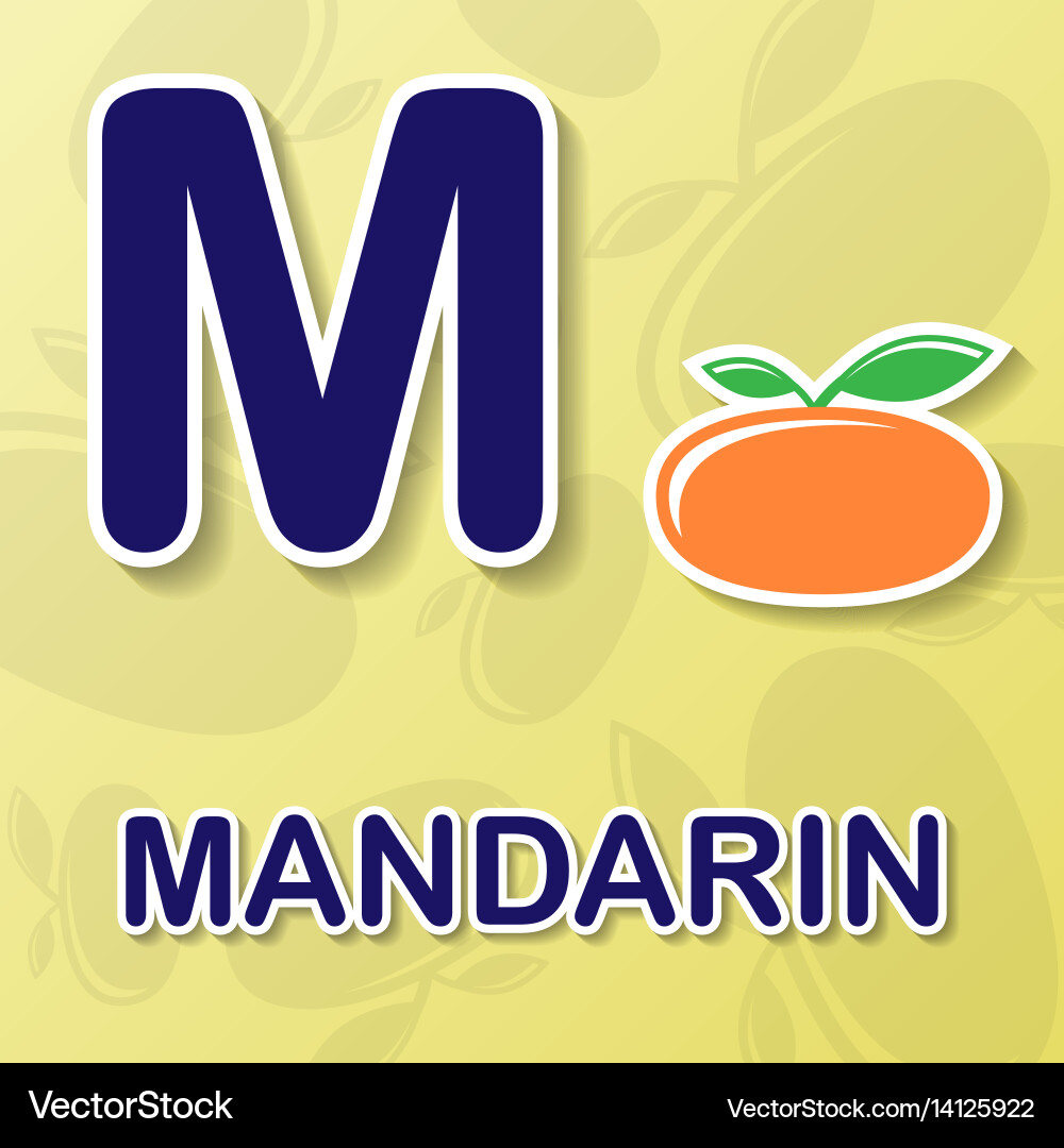Mandarin alphabet background Royalty Free Vector Image