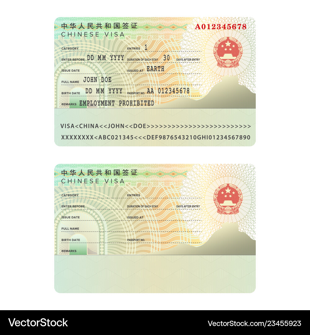 China international passport visa sticker Vector Image