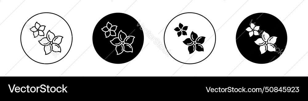 Jasmine icon set jasmine plumeria fragrant Vector Image