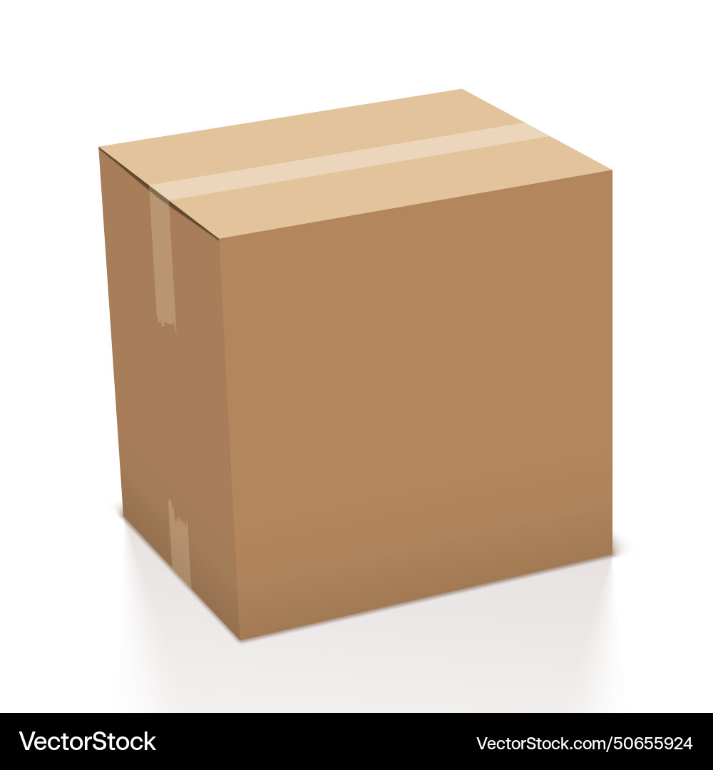 Closed cardboard box taped up isolated on white Vector Image
