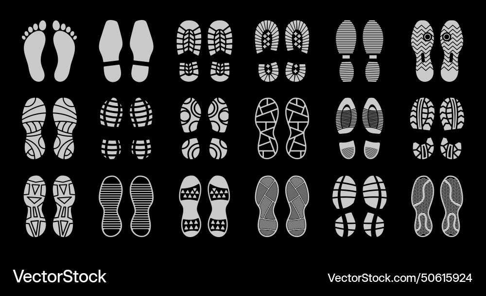 Collection showcasing diverse white shoe Vector Image