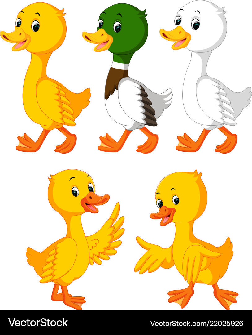 Collection of the cute ducks Royalty Free Vector Image
