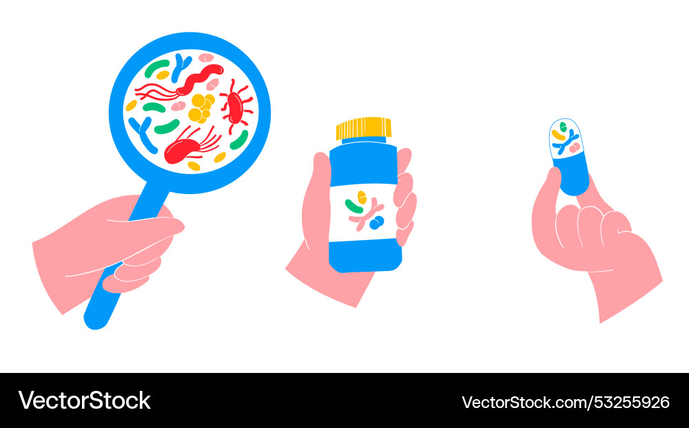 Probiotics and gut microbiome Royalty Free Vector Image